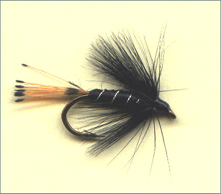 Wet flies soft hackle and wings | Paflyfish